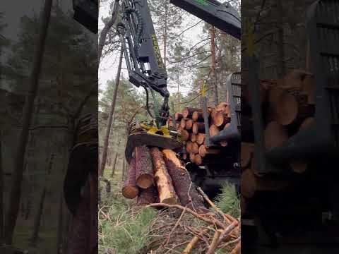 “Precision in forestry :High-tech forwarder in action “ #heavymachinery #johndeere #viralvideo #tree
