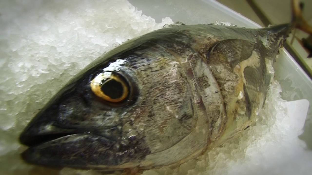 ICAR-CIFT High Pressure Fish Processing Technique