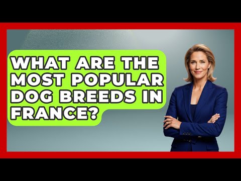 What Are The Most Popular Dog Breeds In France? - France Fact File