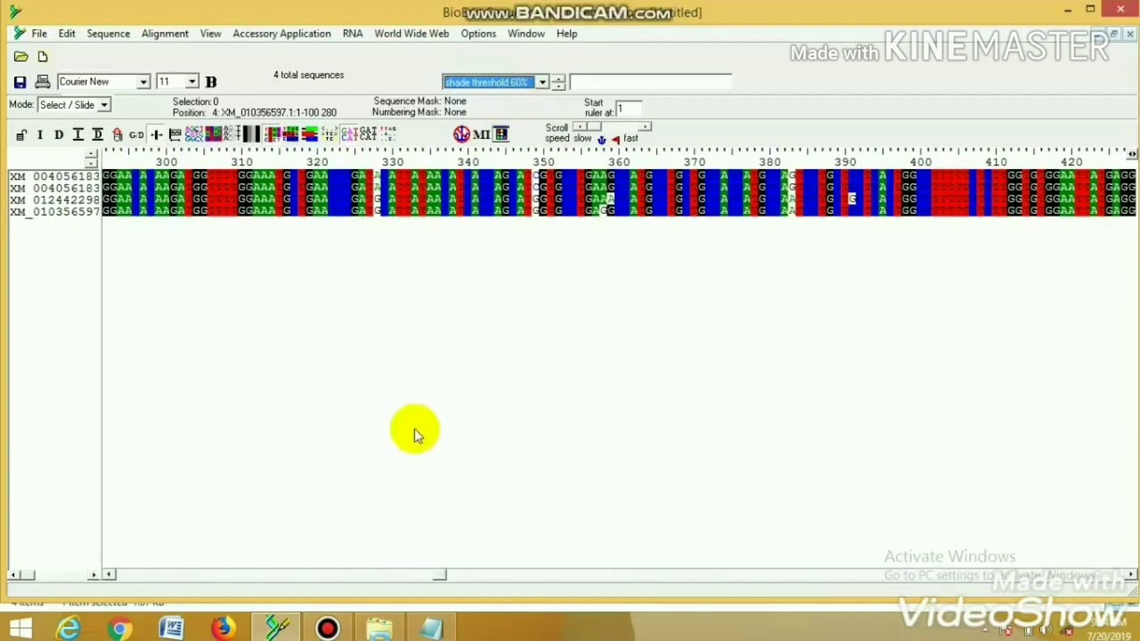 How to work with BioEdit sequence alignment editor