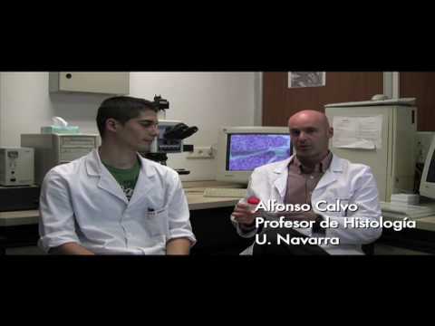 Procesamiento histológico de muestras biológicas – Portafolio Digital ...