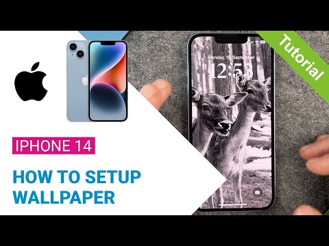 iPhone 14 - How To Setup Wallpaper • • 📱1️⃣4️⃣ • 🎆 • 📸 • Tutorial