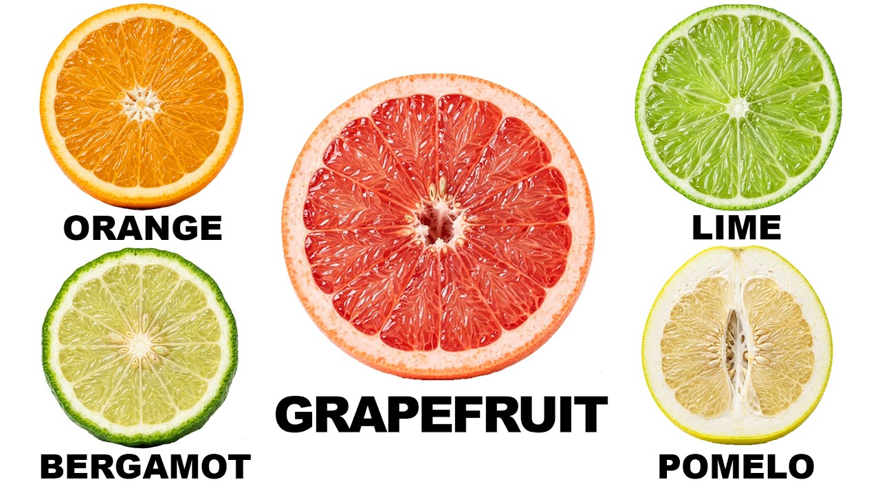 Every Citrus Explained in 5 Minutes
