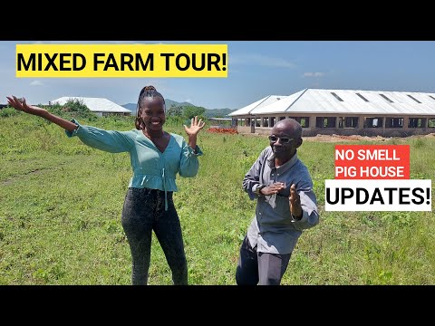 Profitable MIXED FARMING For Beginners!/ Cutting COSTS!