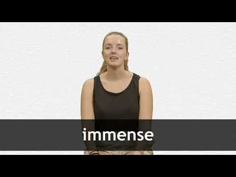 English Translation of “IMMENSE” | Collins French-English Dictionary
