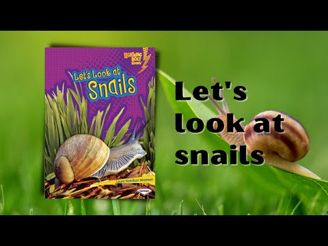 [Read aloud] Let's look at snails | BBL | Snail facts for kids | kids reading | Snail book |