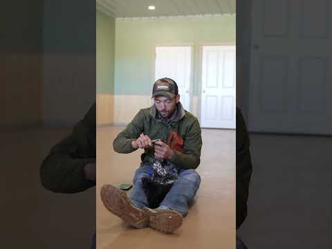 How To Trim Your Puppies Nails