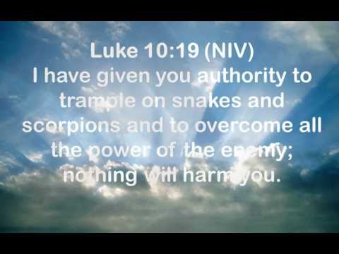 Luke 10:19 (NKJV) Behold, I give you the authority to trample on ...