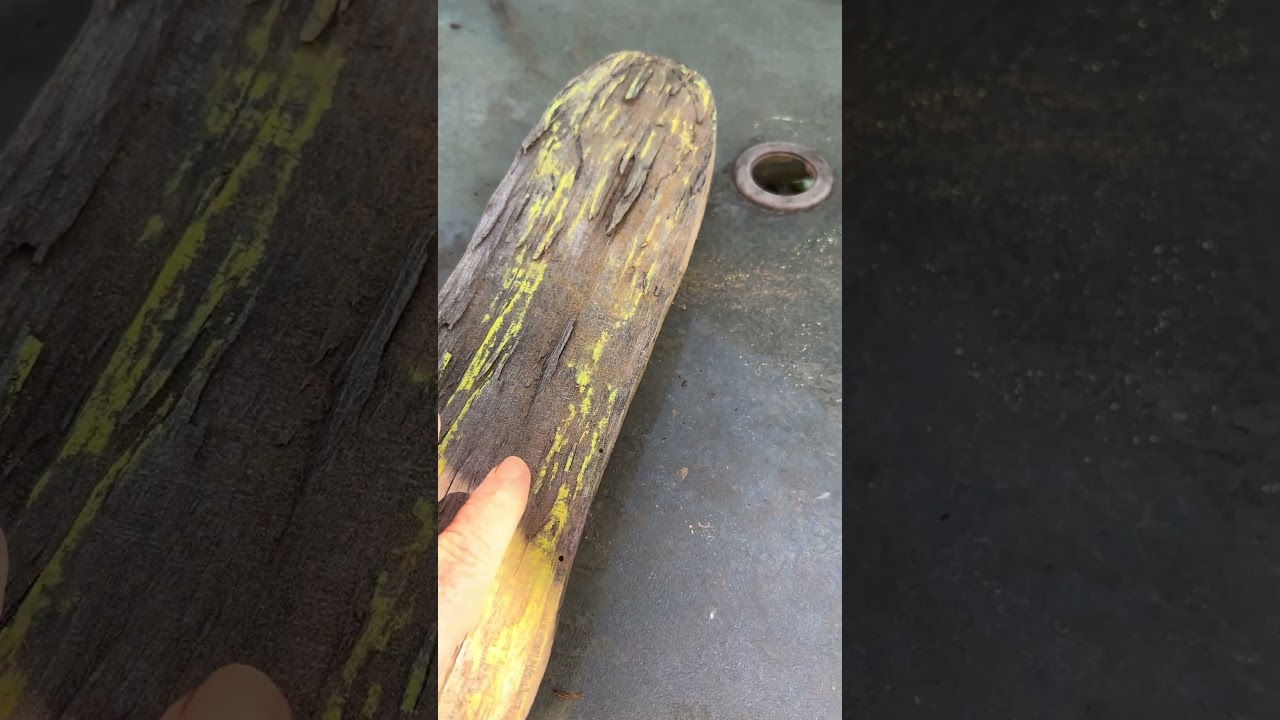 Shaping the ships spoon #youtubehighfive @youtubecreators #springonshorts
