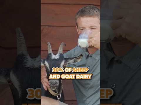 ๐คฏ Surprising Benefits of Sheep & Goat Dairy ๐ ๐