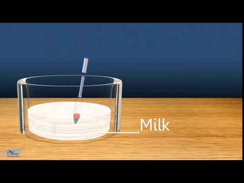 Lactometer - Milk Lactometer Latest Price, Manufacturers & Suppliers