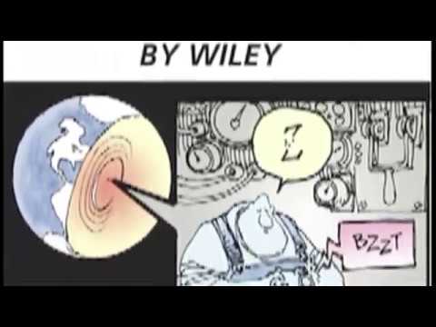 NON SEQUITUR BY WILEY