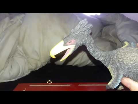 Review on the collecta kelenken