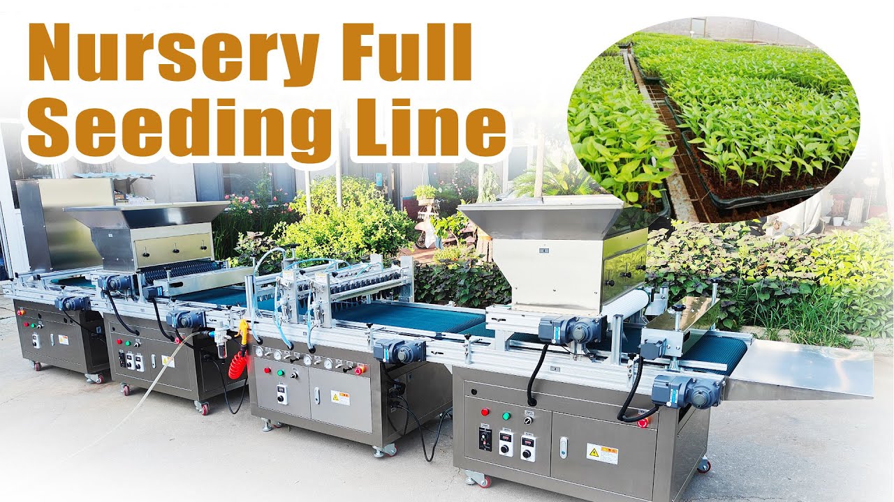 Double-Row Seeding with our Fully Automated Nursery Machine! Automatic Seeding Machine for Sale 2024