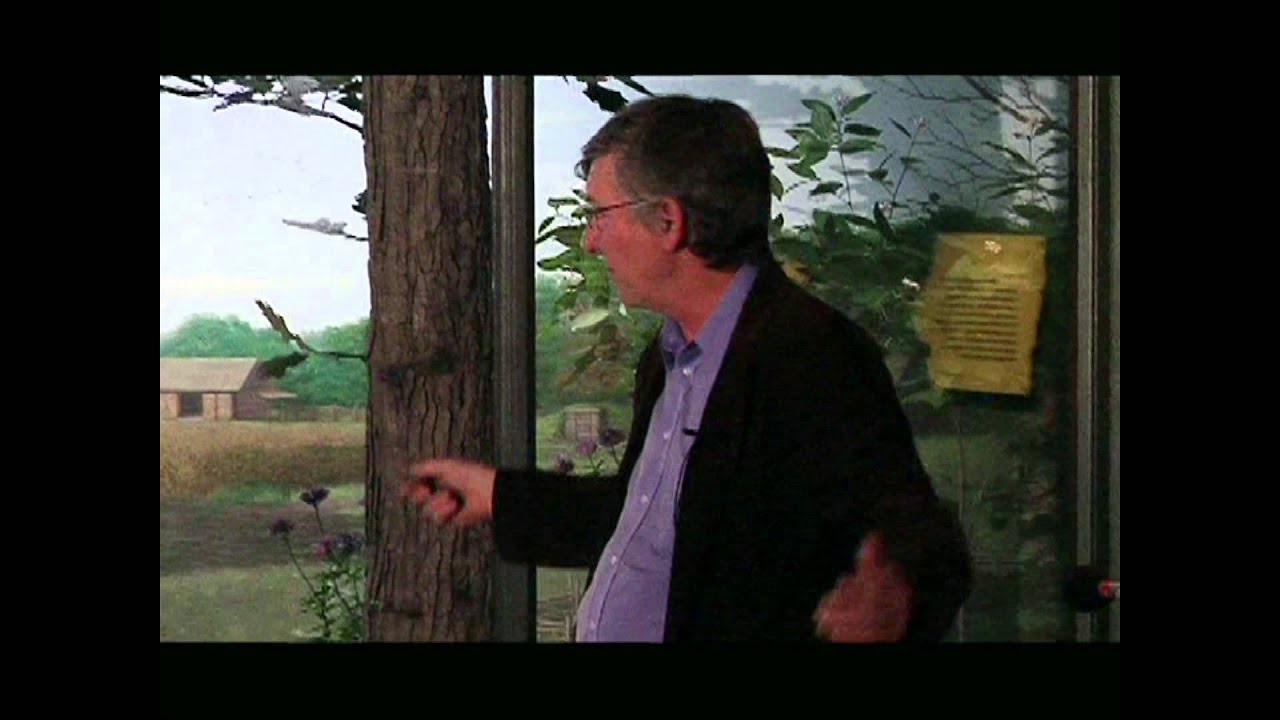 The First Humans in Southeast Asia - Dr. Art Bettis