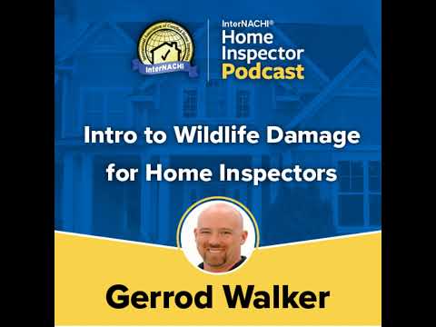 Episode 543: “Intro to Wildlife Damage for Home Inspectors” with Gerrod Walker