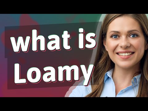 Loamy | meaning of Loamy