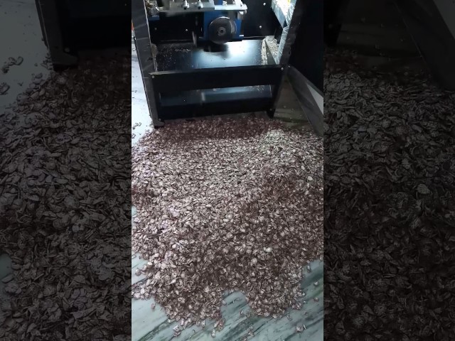 Supari Cutting Machine - Fully Automatic Supari Cutting plant ...