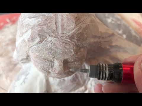 Gail Jones Sundell - Stone Sculptures - 2020 CFD Western Art Show & Sale Artist Maker Video