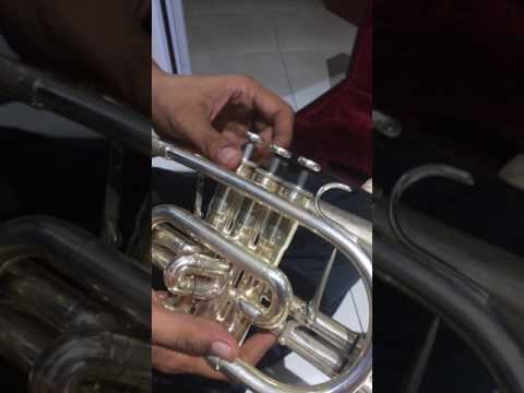 Besson sovereign Cornet Be928 | Reverb