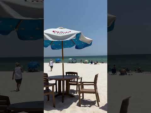 Flora-Bama: One of The Best Beach Bars in the World & Live Music Venue