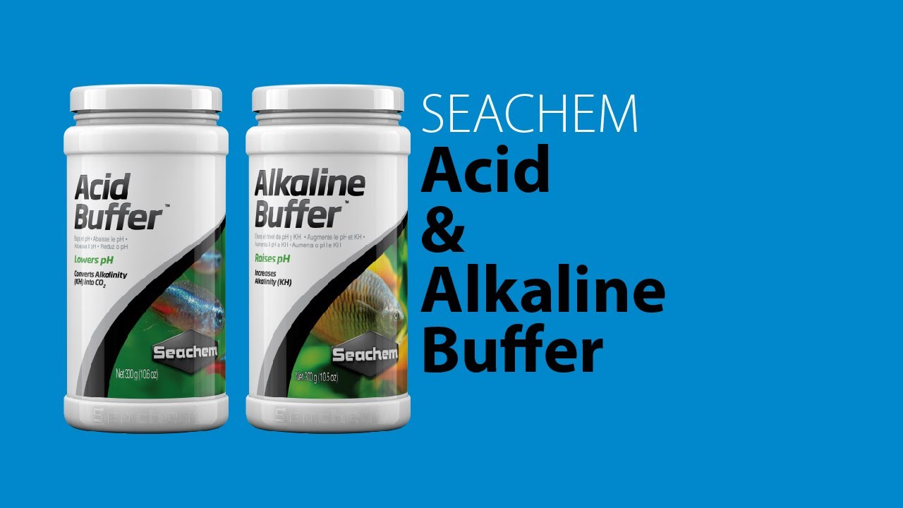 Seachem Alkaline and Acid Buffer [ENG SUB]