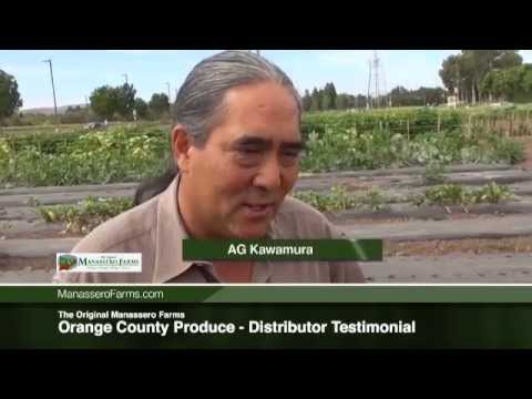 The Original Manassero Farms - Orange County Produce - Distributor Testimonial