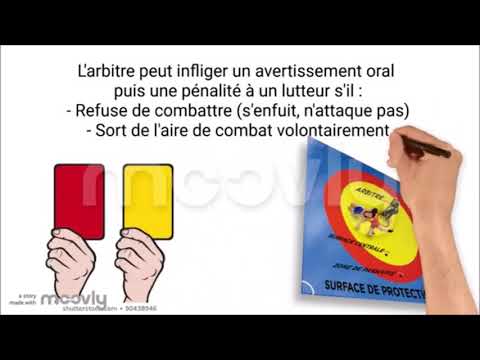 Les règles du jeu en lutte