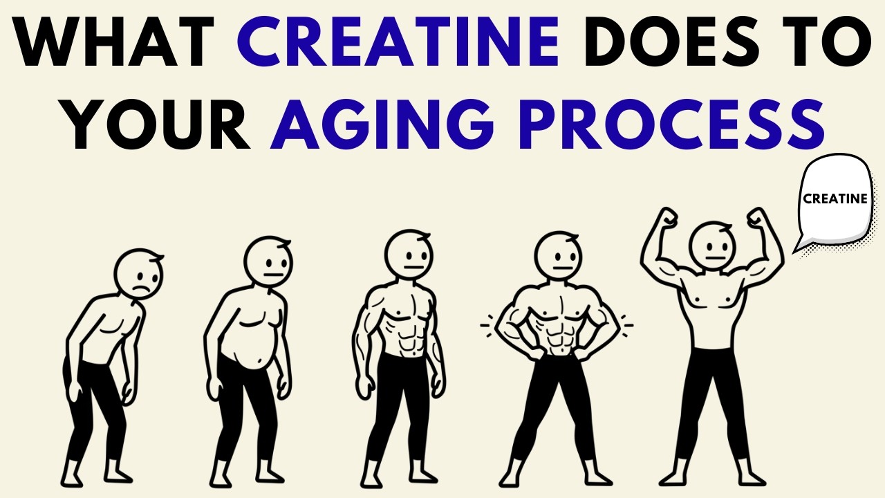 What Happens to Aging Process if You Take Creatine Daily (Science Explained)