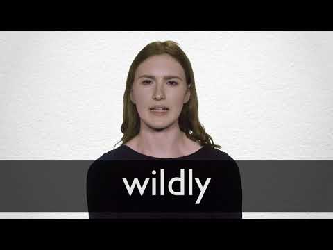 WILDLY 释义 | 柯林斯英语词典