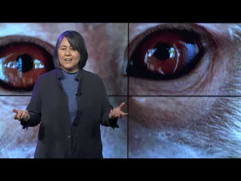 Is Animal Research Justified By Human Supremacy? | Syd Johnson | TEDxSUNYUpstate