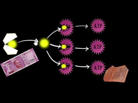 Respiration site & ATP | Life processes | Biology | Khan Academy