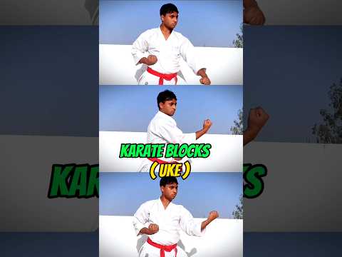 KARATE BLOCKS π₯β
. #karate #shorts