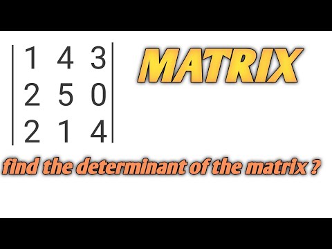 Determinant of Matrix | Formula, Shortcut & Examples
