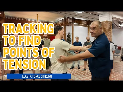 Tracking to find points of tension | Elastic Force Chi Kung Instructors Workshop 2024
