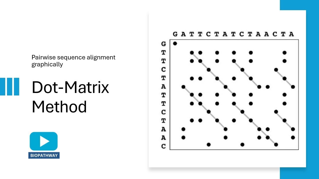 Dot Matrix Method in Bioinformatics | Dot Plot Sequence alignment