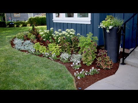 Flowerbed Makeover Start to Finish πΏπΈ