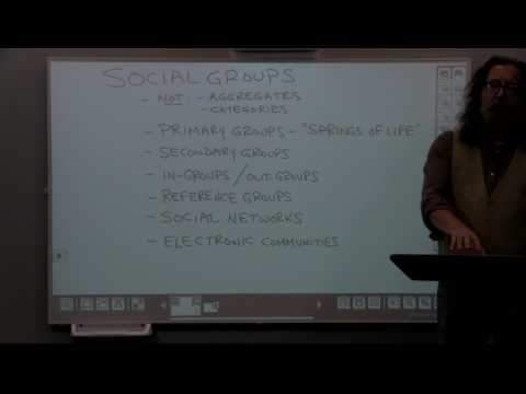 Module 5, Lecture 1: Social Groups