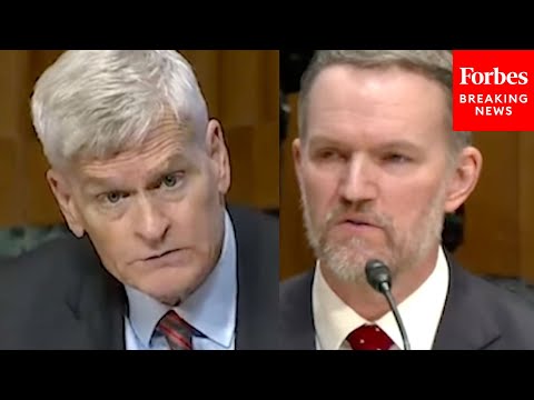 Bill Cassidy Questions US Trade Rep Jamieson Greer About Tariff Barriers Impeding Louisiana Trade