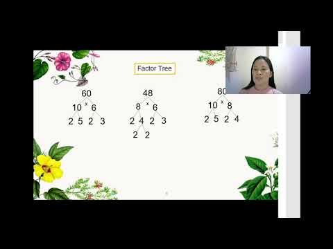 finding the common factor and GCF of 2-4 numbers using continues division