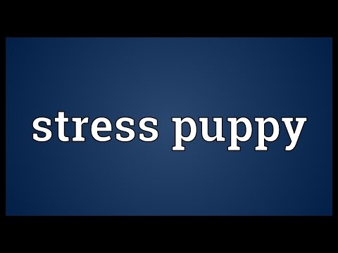 Stress puppy Meaning
