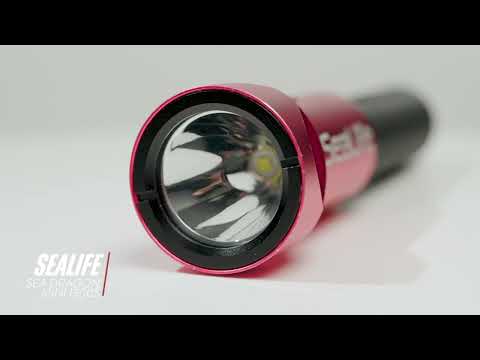 2022 Scuba Lab Test & Best Buy