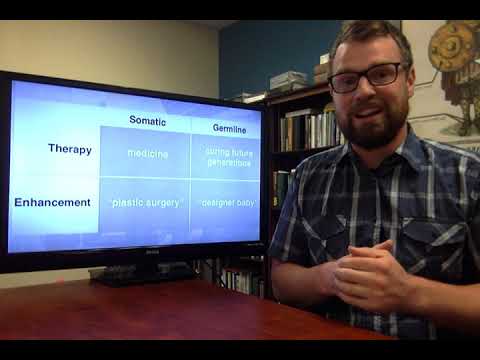 Super Brief and Important Considerations about Genetic Engineering from ...