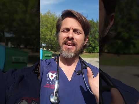 PSA - Pet Insurance and Credit Card #veterinarian #shorts