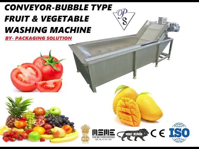 Vegetable Washing Machine - 200 Kg Conveyor Type Fruit And Vegetable ...