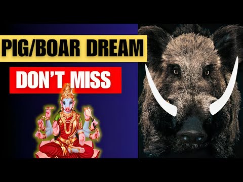 PIG or WILD BOAR Dream Meaning | PIG Dream INTERPRETATION | DREAM about PIG
