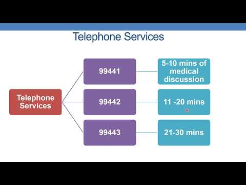 2023 CPT coding guidelines for telephone services