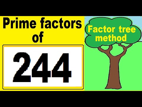 Prime factors of 244. Prime factors decomposition of 244. Factor tree method.