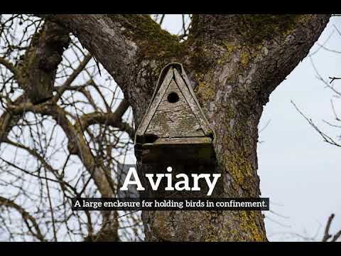 How to Say Aviary in English? | How Does Aviary Look? | What is Aviary?