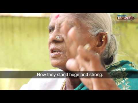 Saalumarada Thimmakka: The 105-year-old Bengalurean on a green mission